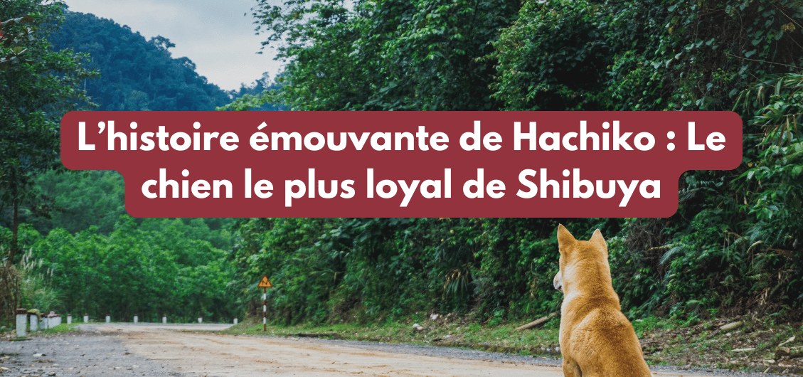L’histoire émouvante de Hachiko : Le chien le plus loyal de Shibuya ...
